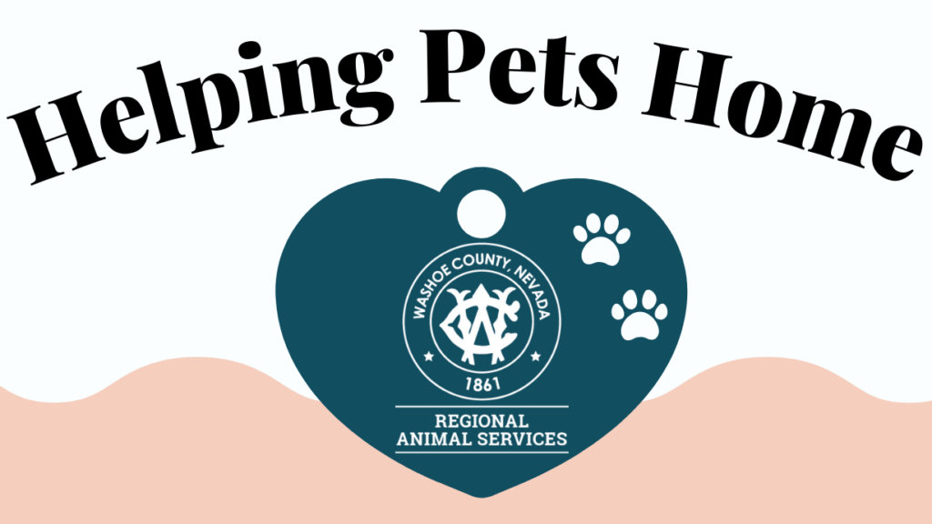 Washoe County Regional Animal Services – Fall Newsletter 2022 | Washoe Life
