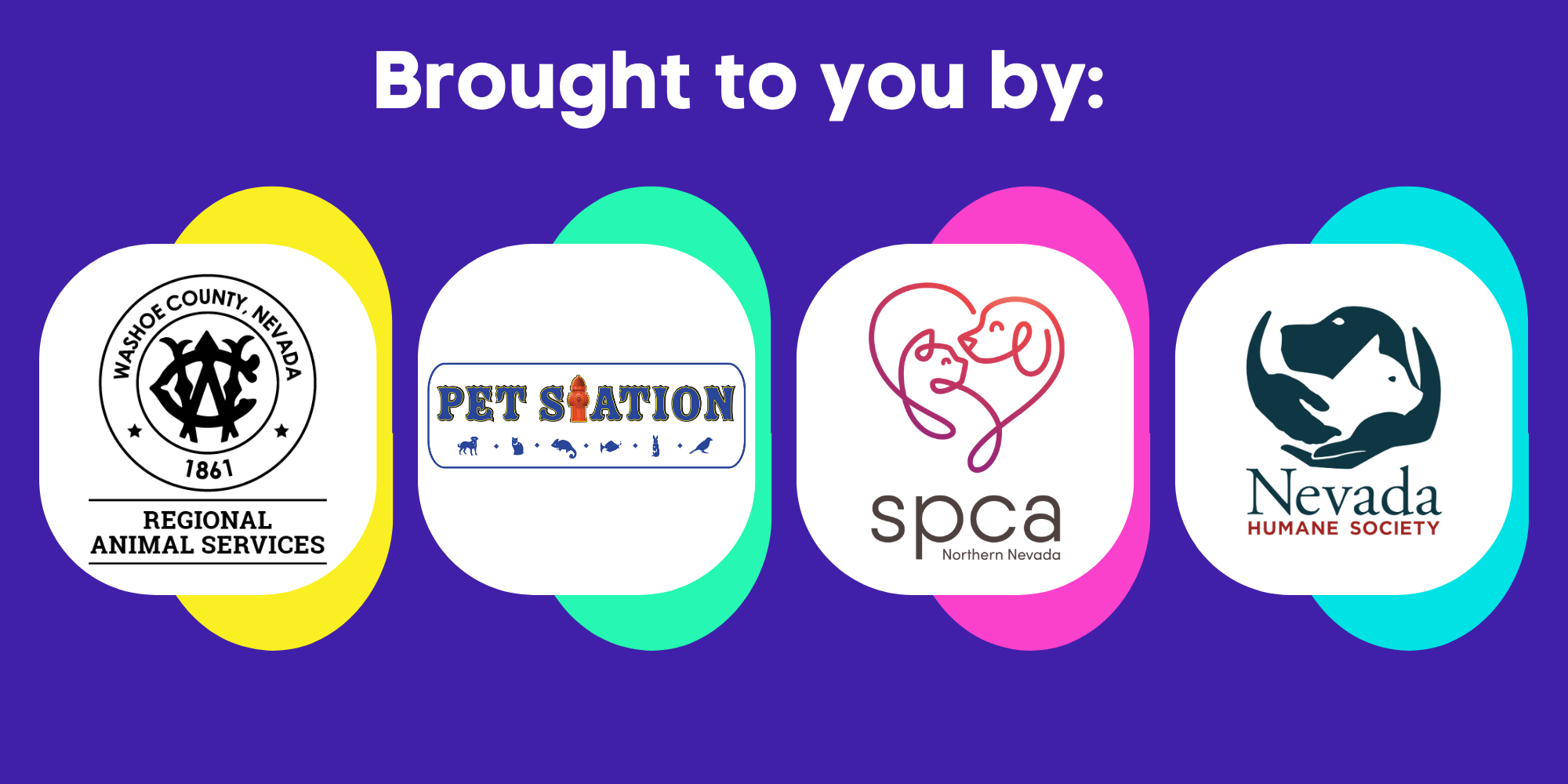 Regional Animal Services and partners unveil public microchip scanning ...