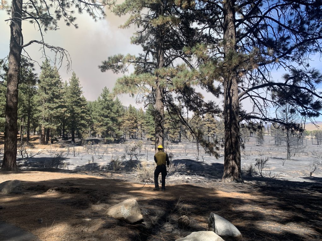 Davis Fire Timeline, Recap, and Resources | Washoe Life